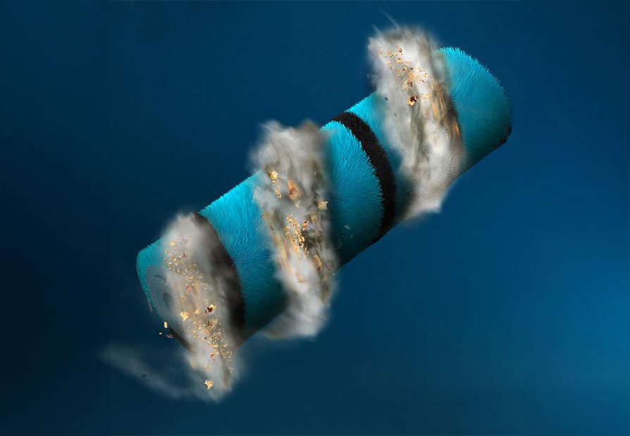 Scoba 2100 Twice Animal - Cecotec Chile