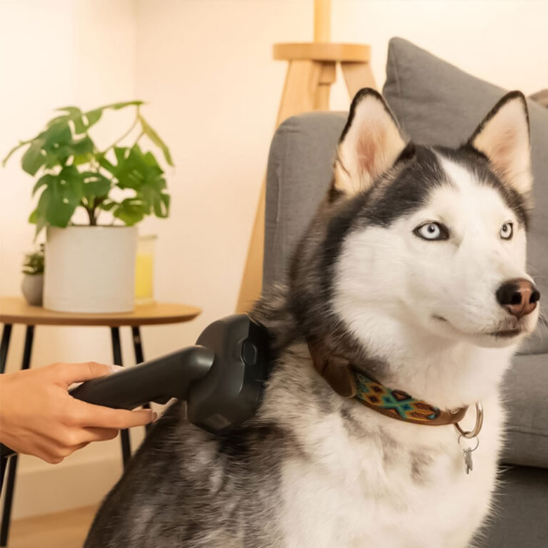 Conga Rockstar Deepclean Animal - Cecotec Chile